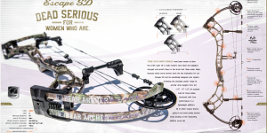 Compound Bows Archives - Brown's Archery Shop